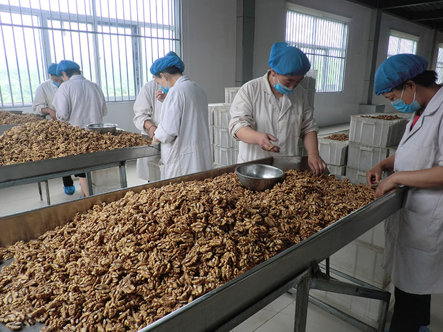 Factory - Suguo International