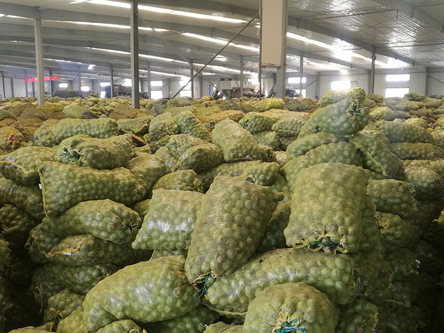 Factory - Suguo International