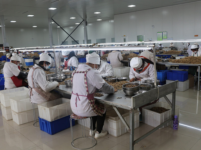 Factory - Suguo International