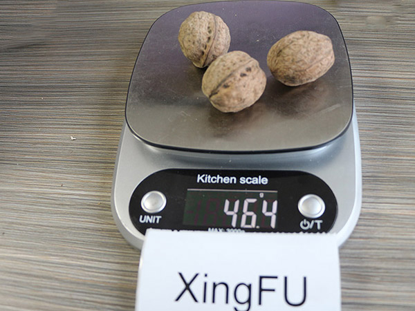 Xing Fu Walnut Inshell, Dried Walnut Kernal For Sale, Dried walnuts in ...