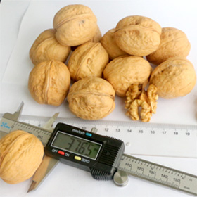 Walnut Inshell, Walnut Kernels, Walnut Wholesale, Walnut Import | Suguo ...