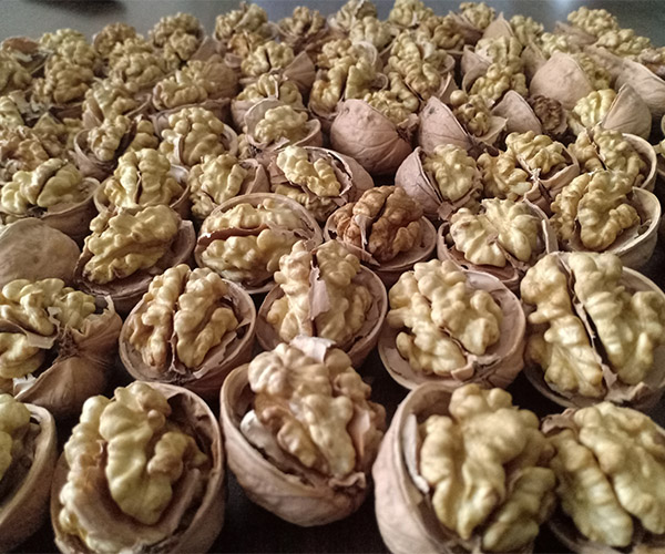 185 Walnut Inshell - On Sale High-Quality Dried walnuts in shell, Origin Walnuts Inshell Top ...