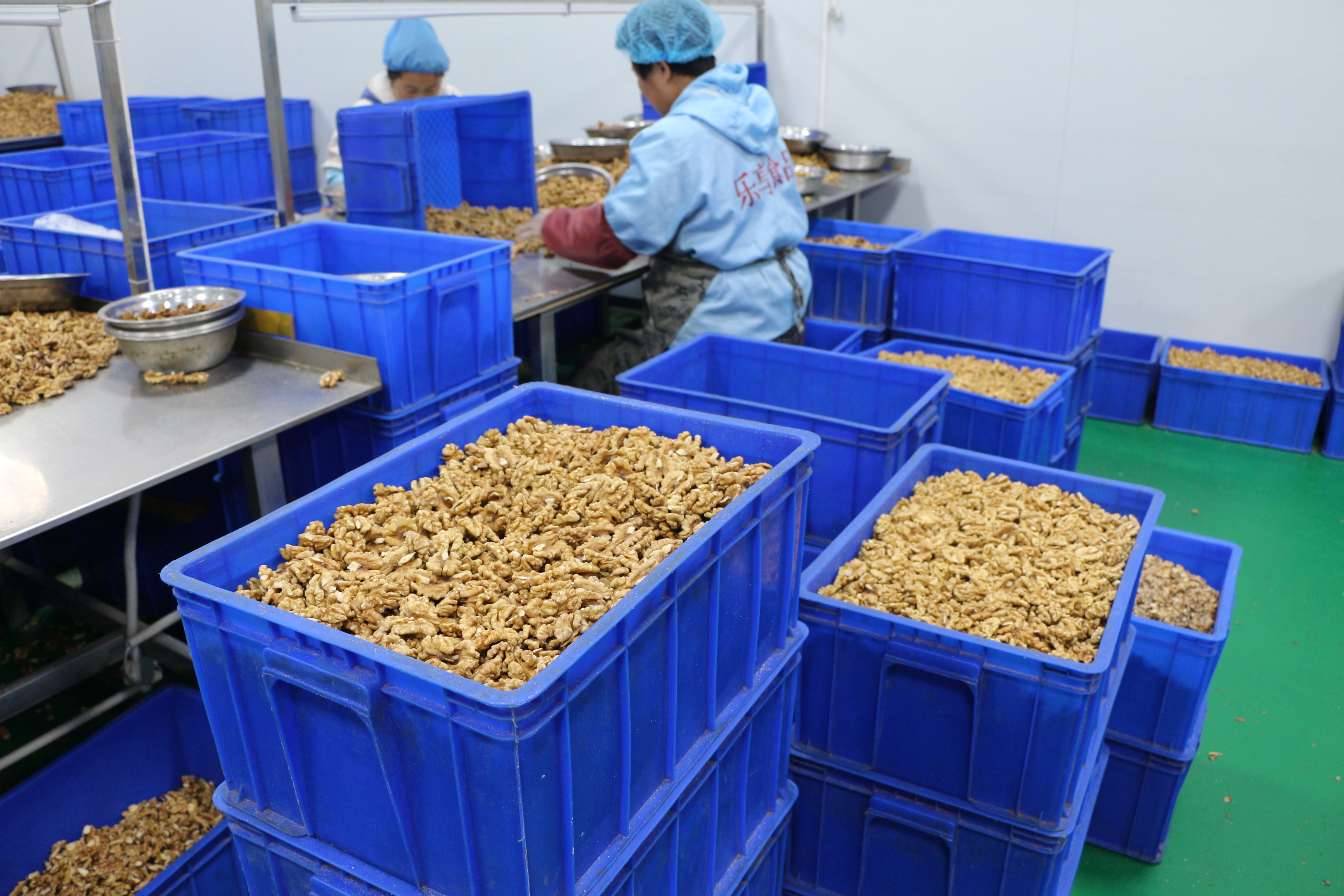 Skinless Walnut Halves & Pieces, Walnut Pieces Bulk, Walnut Halves ...