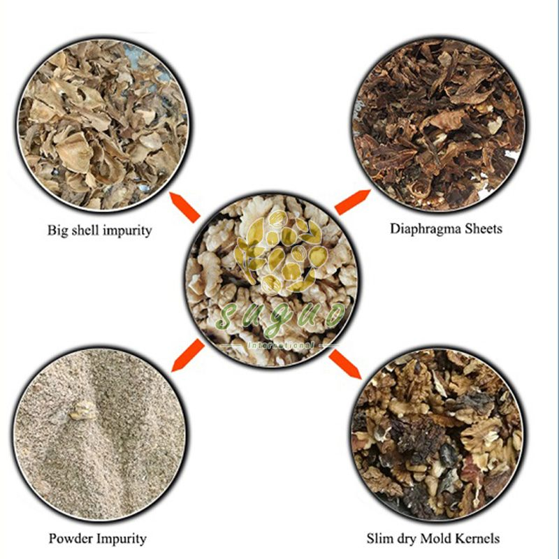 Walnut Kernels - Buy Product on Suguo International