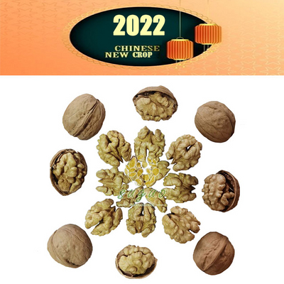 185 Walnut Inshell - On Sale High-Quality Dried walnuts in shell, Origin Walnuts Inshell Top ...